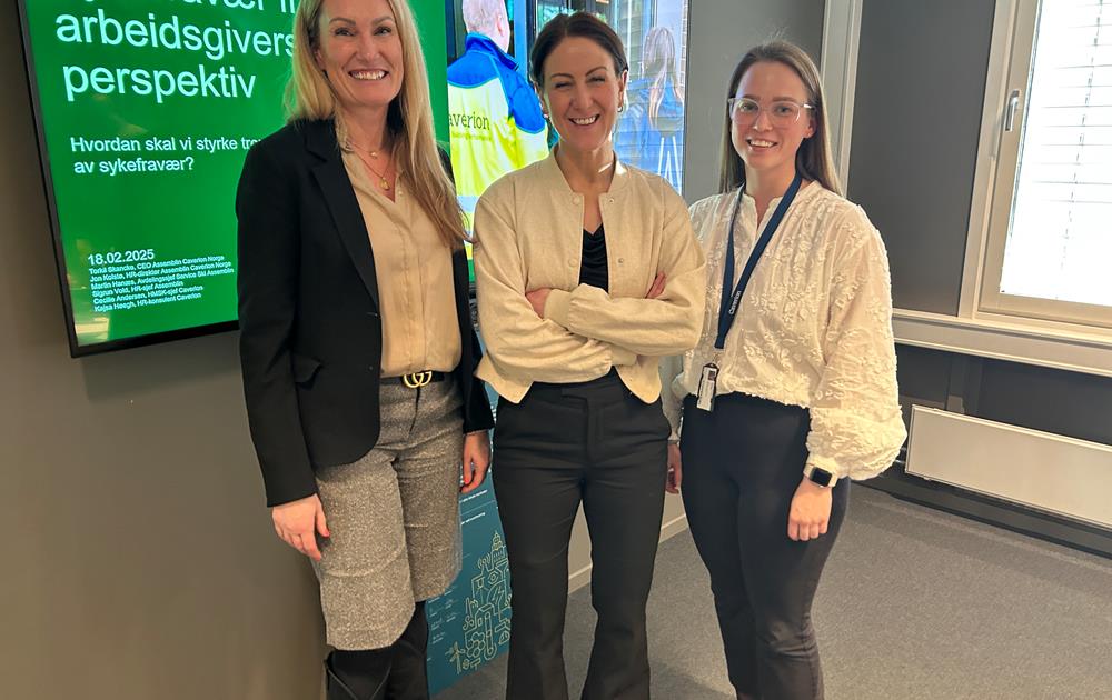 Assemblin - elektro | Assemblin - Assemblin